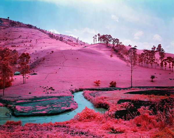 Richard Mosse The Enclave