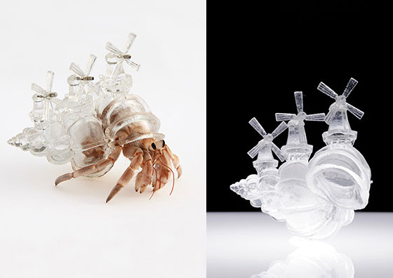 Hermit Crab Shell Designs